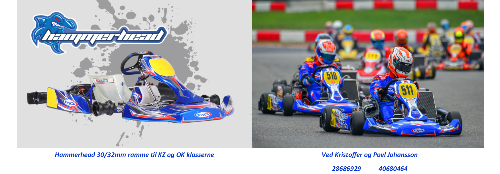 Raccoon-Racing – Racing to win