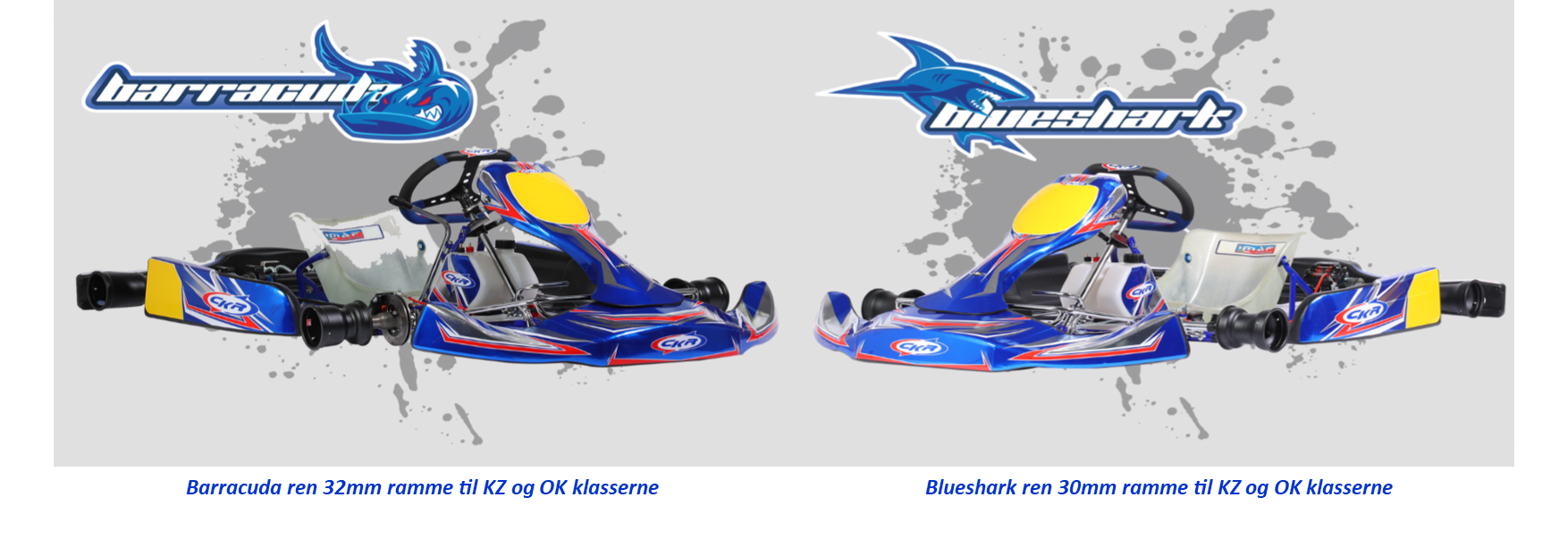 Raccoon-Racing – Racing to win