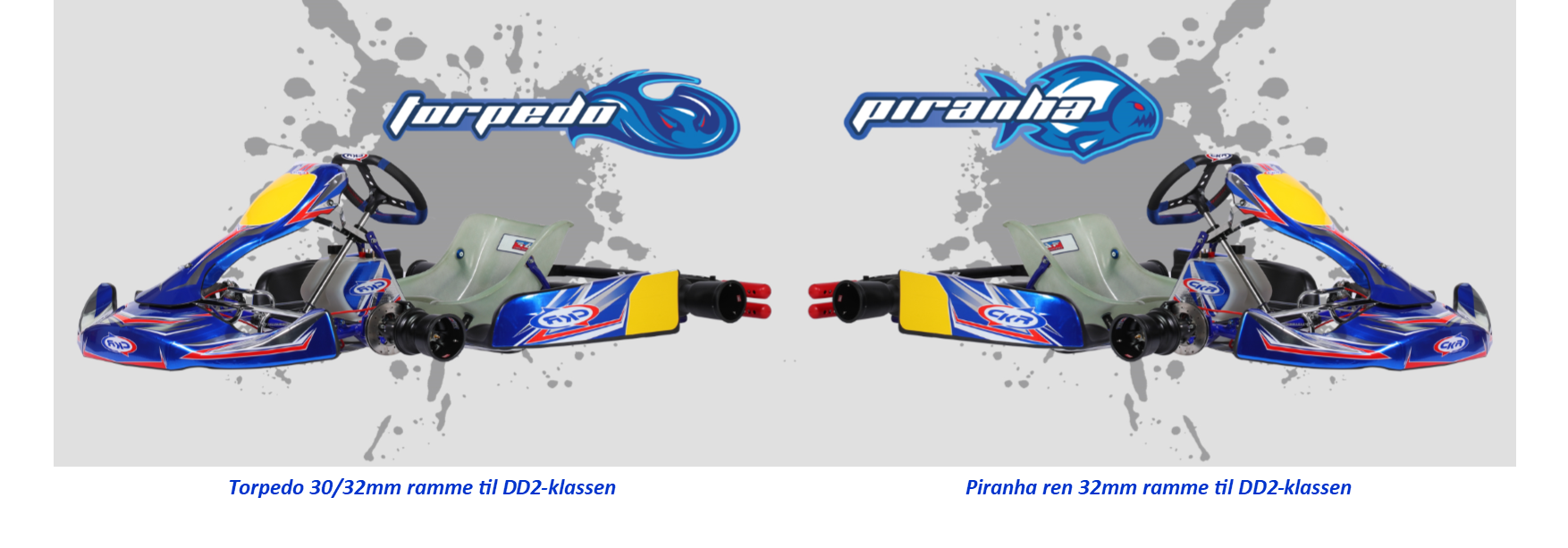 Raccoon-Racing – Racing to win