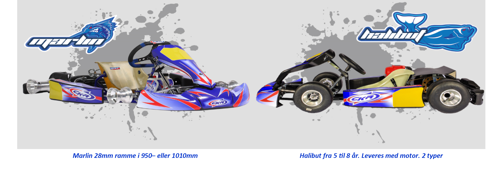 Raccoon-Racing – Racing to win