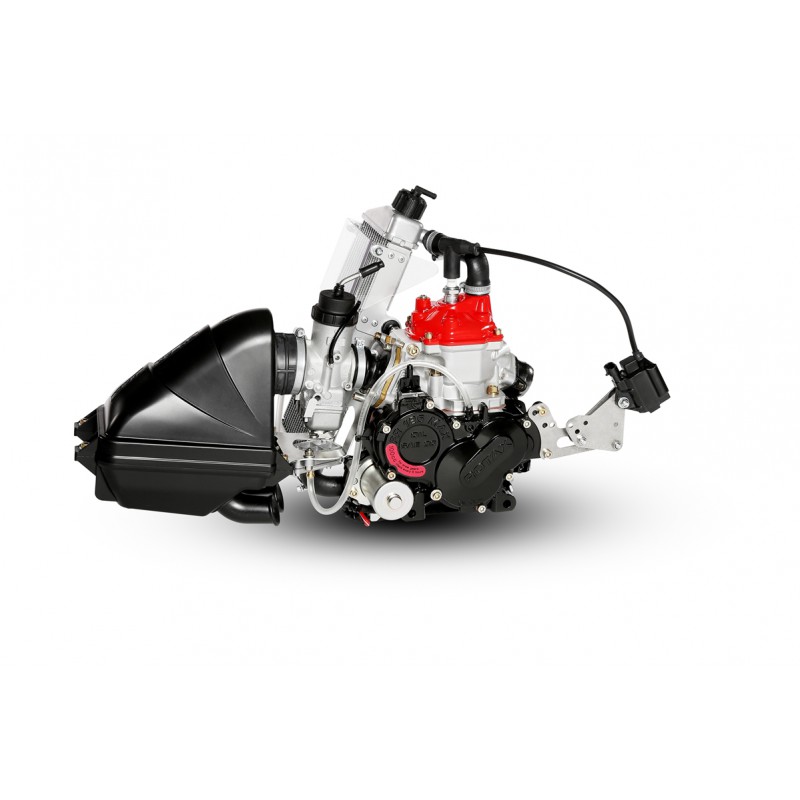 Rotax 125 MAX EVO Junior- Komplet. 12-19 år. – Raccoon-Racing